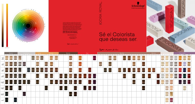Carta de Color IGORA SKP | PDF