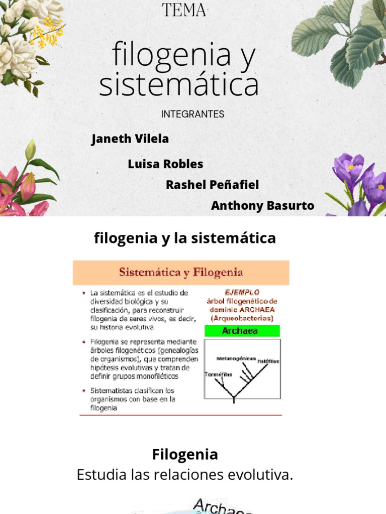 Filogenia y sistematica | PDF | Plantas | Organismos