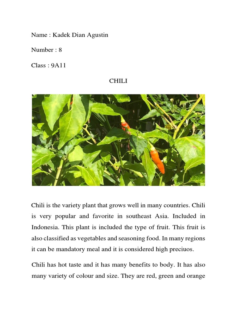 Chili Report Text | PDF