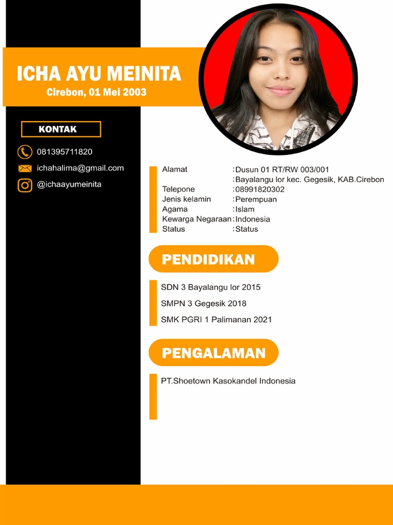 CV ICHA | PDF