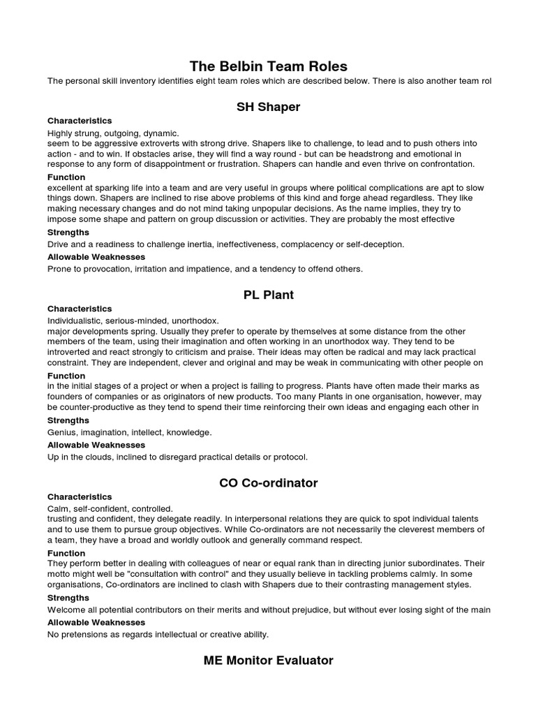Information Belbin Team Role | PDF
