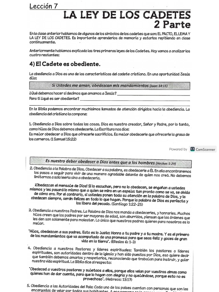 Lección 7 | PDF