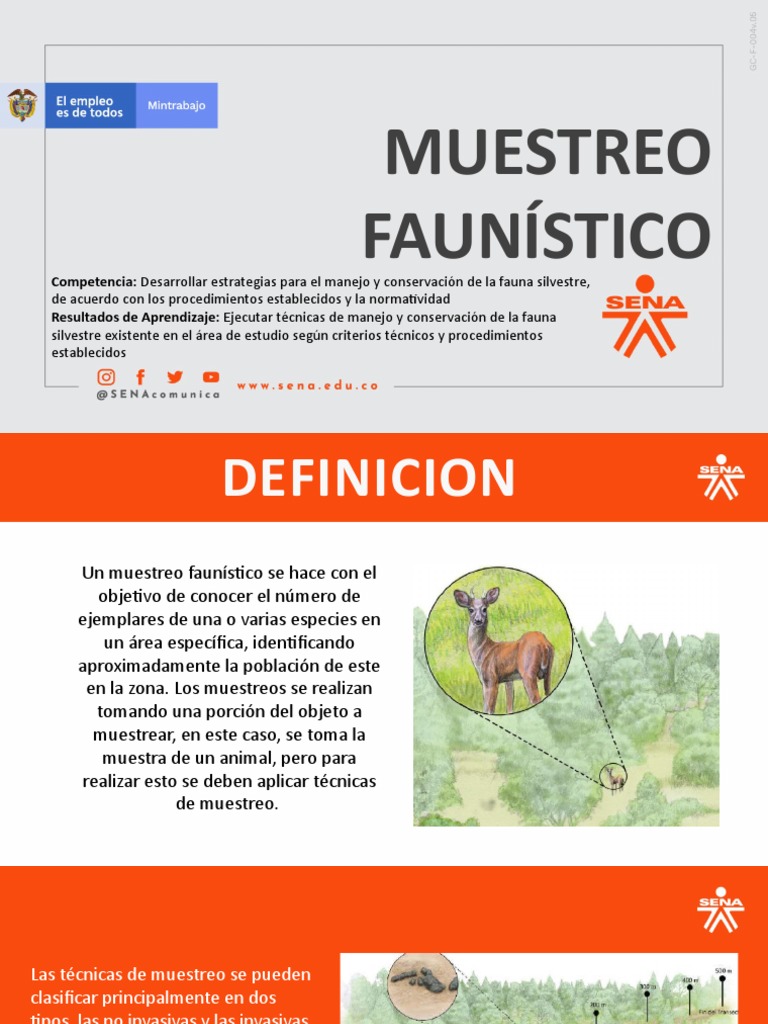 Muestreo y Captura de Fauna | PDF | Fauna | Mamíferos