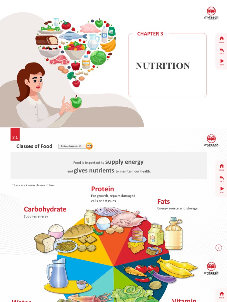 Classes Of Food And Nutrition Essentials Pdf Digestion Calorie