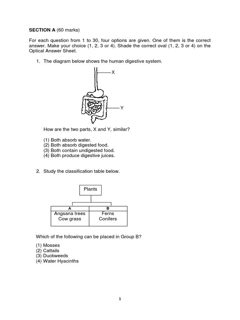 PSLE Science 2014 | PDF | Flowers | Blood