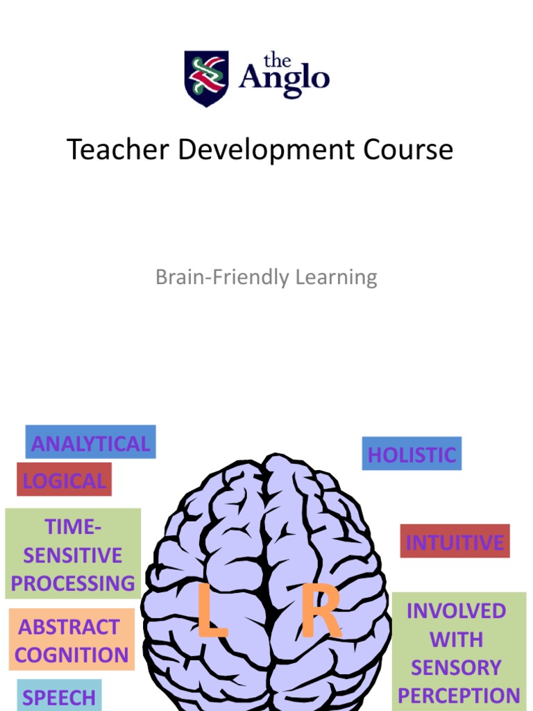 Brain-Friendly Learning | Download Free PDF | Perception | Recall (Memory)