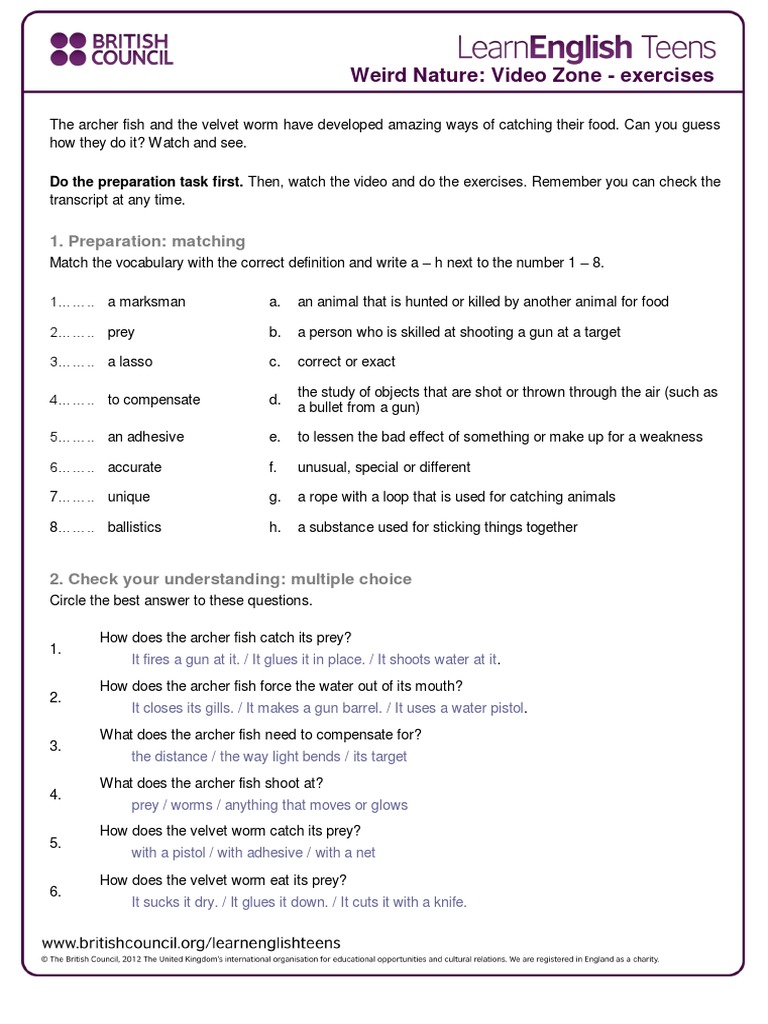 Weird Nature - Exercises | PDF