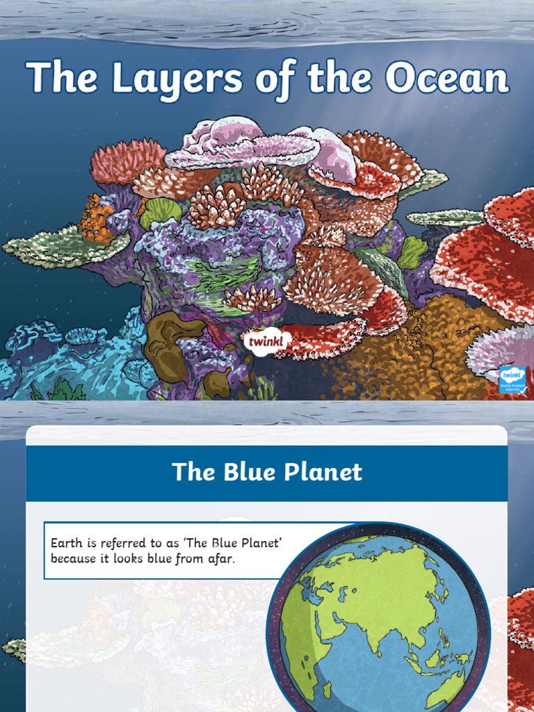 Ks2 the Layers of the Ocean Information Powerpoint | PDF