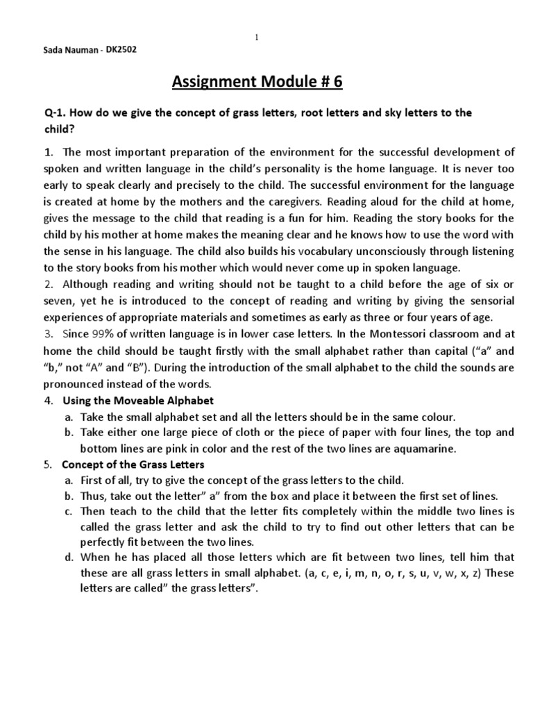 Assignment Module 6 (Saba Nauman-DK2502) | PDF