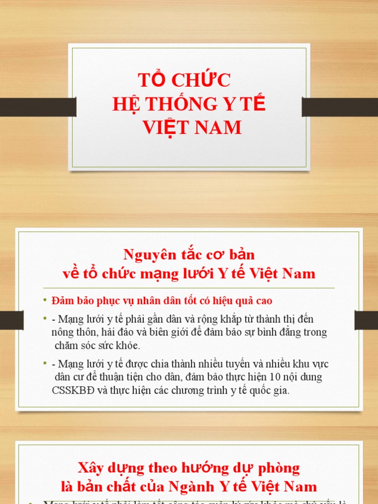 He Thong y Te Viet Nam | PDF