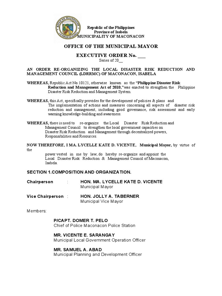 E.O. No. 02 s 2019 LDRRMC Re-Organization | PDF