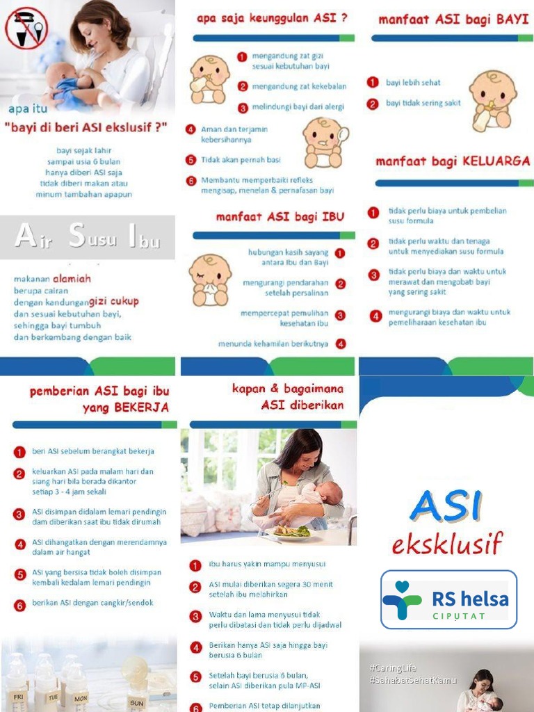 Leaflet Asi | PDF