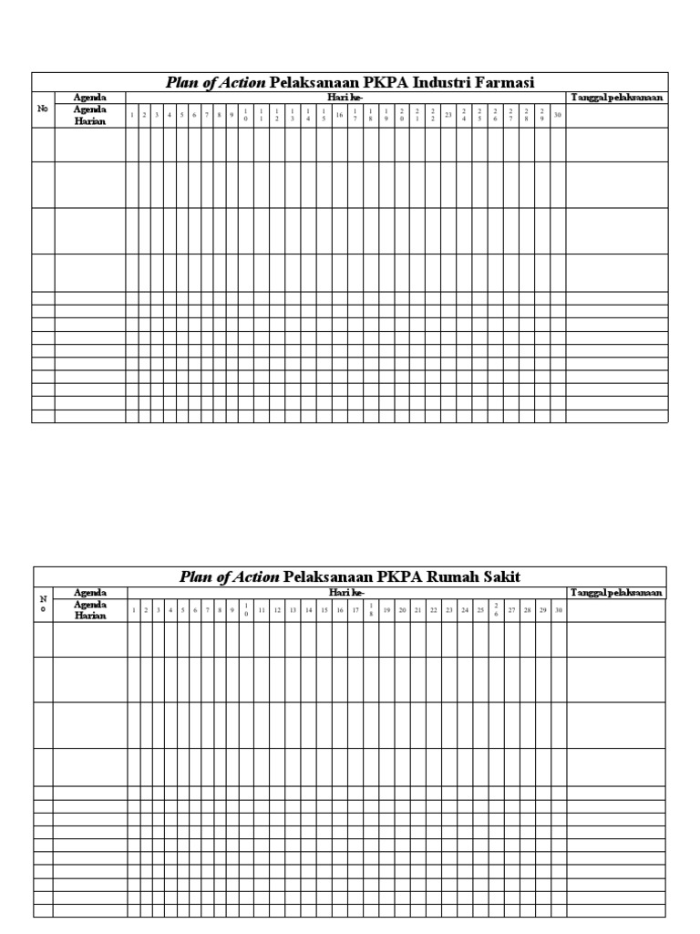 Format Plan of Action (PoA) | PDF