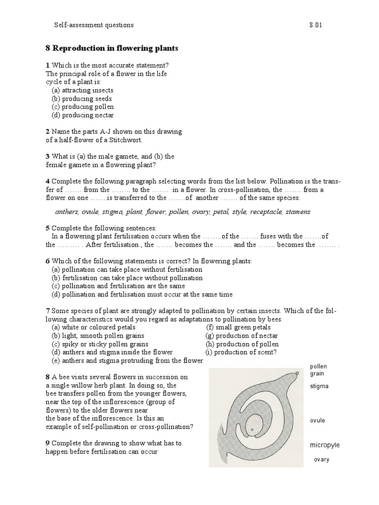 FORM 3 - Plant Reproduction Questions | PDF | Flowers | Pollination