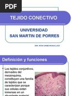 Sustancia Fundamental Amorfa y Forme | PDF | Tejido conectivo | Histología