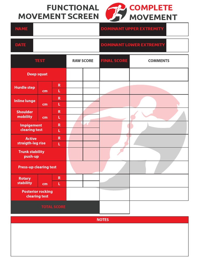 Functional Screen | PDF