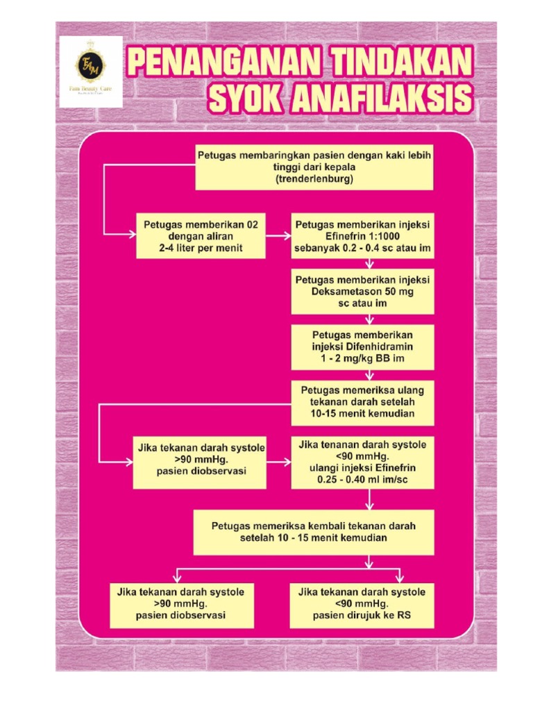 Syok Anafilaksis Fix | PDF