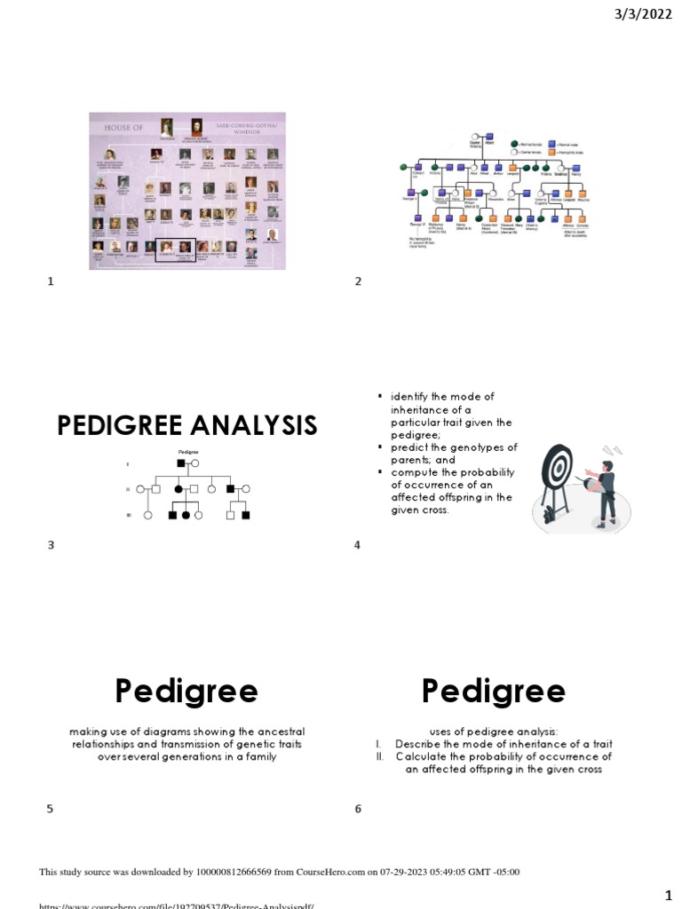 Pedigree PPT (Biology) | PDF | Dominance (Genetics) | Genotype