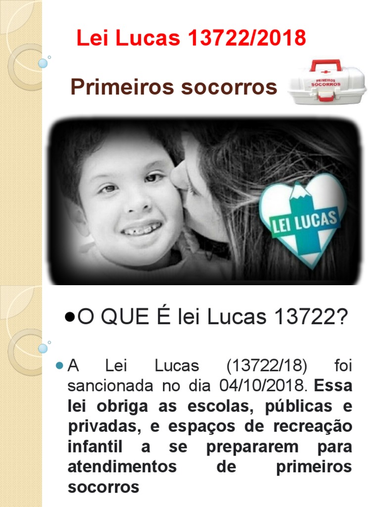 Treinamento Lei Lucas | PDF