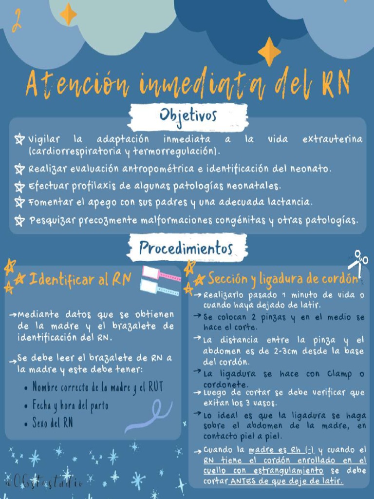1.2 Atención Inmediata Rn (2) | PDF