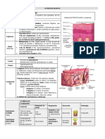 ACANTOLISIS | PDF | Piel | Epidemiología