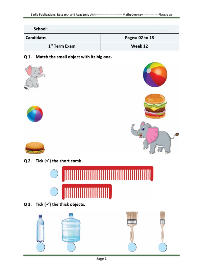 Playgroup Math Exam Guide | PDF | Teaching Methods & Materials