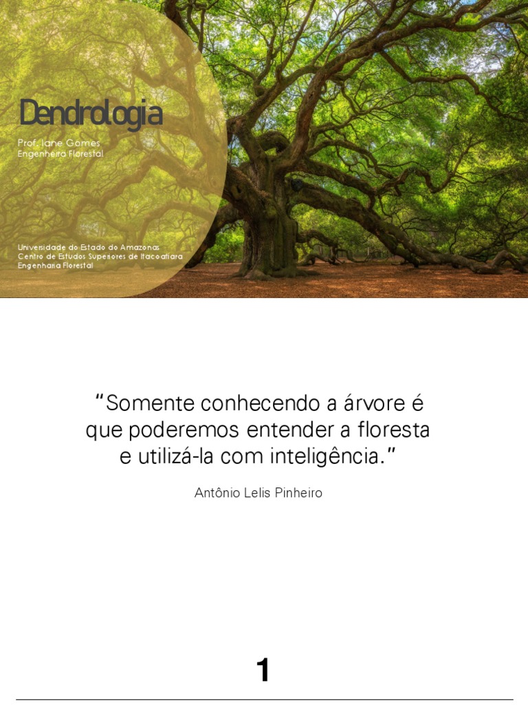 1 Introduc387c383o Dendrologia | PDF | Árvores | Áreas da Botânica