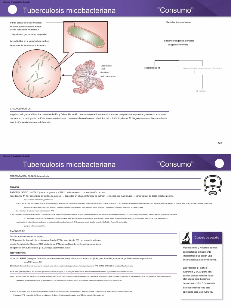 Lippincott Microcards Microbiology Flash Cards - 230115 - 012850 | PDF