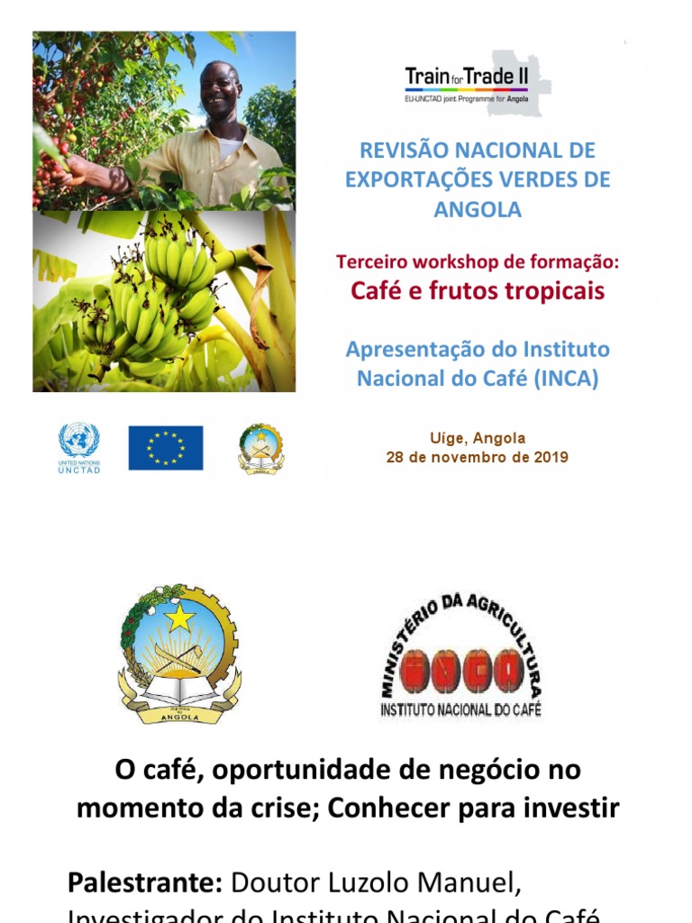 Pesquisa Sobre A Produção de Café em Angola | PDF