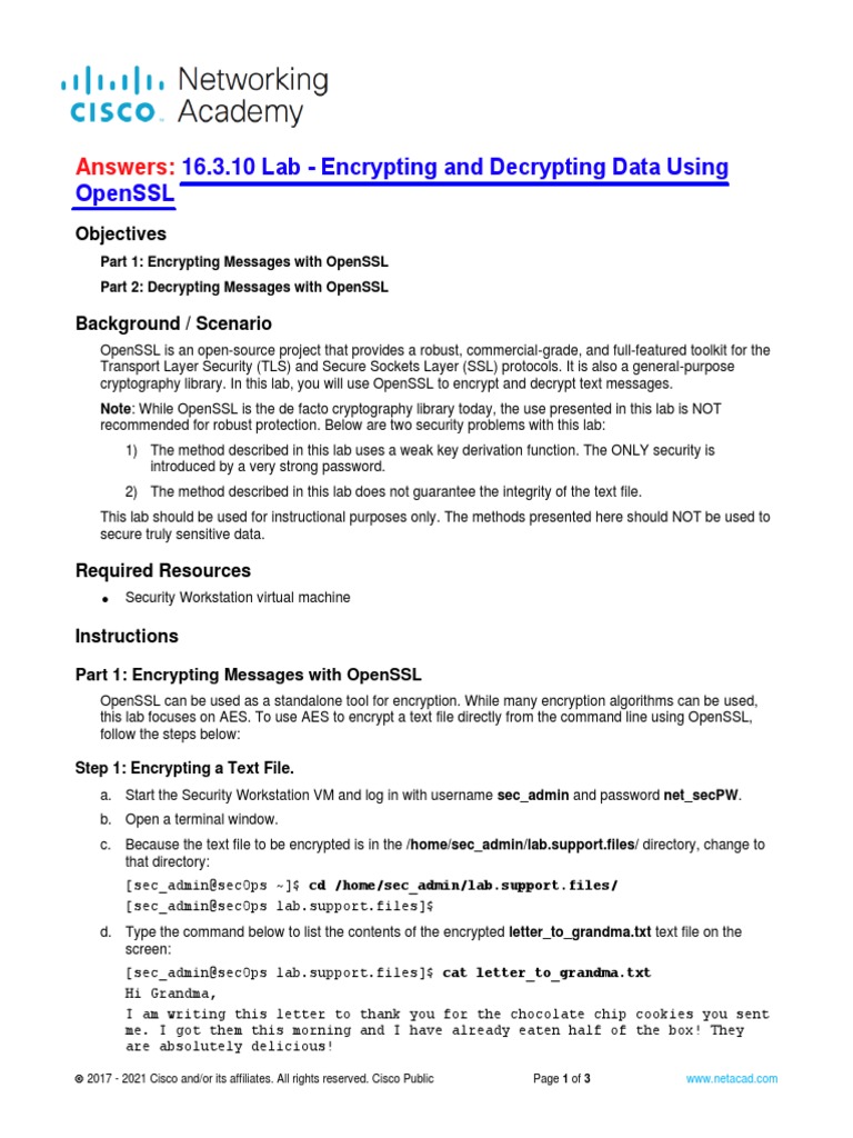 16.3.10 Lab - Encrypting and Decrypting Data Using OpenSSL | PDF