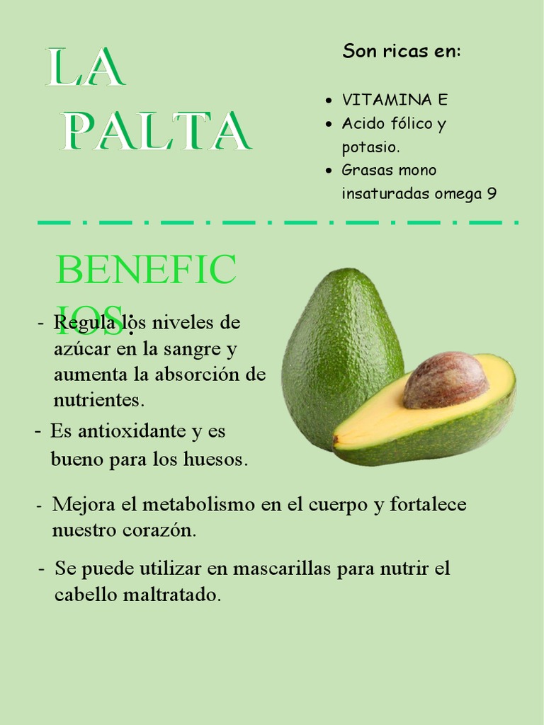 Infografia Palta P. I. | PDF