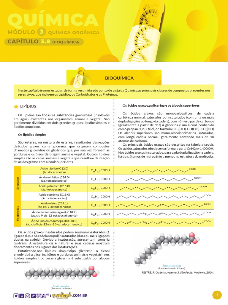 3 8 Bioqui Mica Conteu Do Exerci Cio Orientado2019 08 09950330824 | PDF