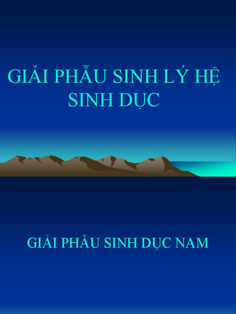 Giai Phau Sinh Ly He Sinh Duc | PDF