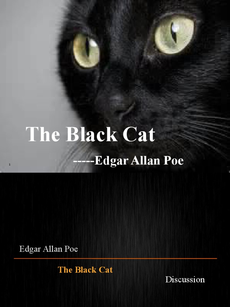 The Black Cat | PDF