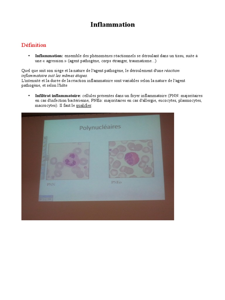 Anapath | PDF