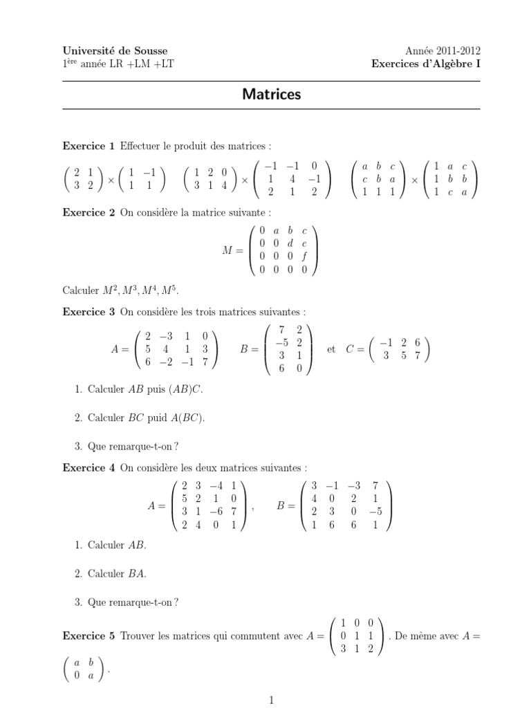 Serie Matrices Part I | PDF