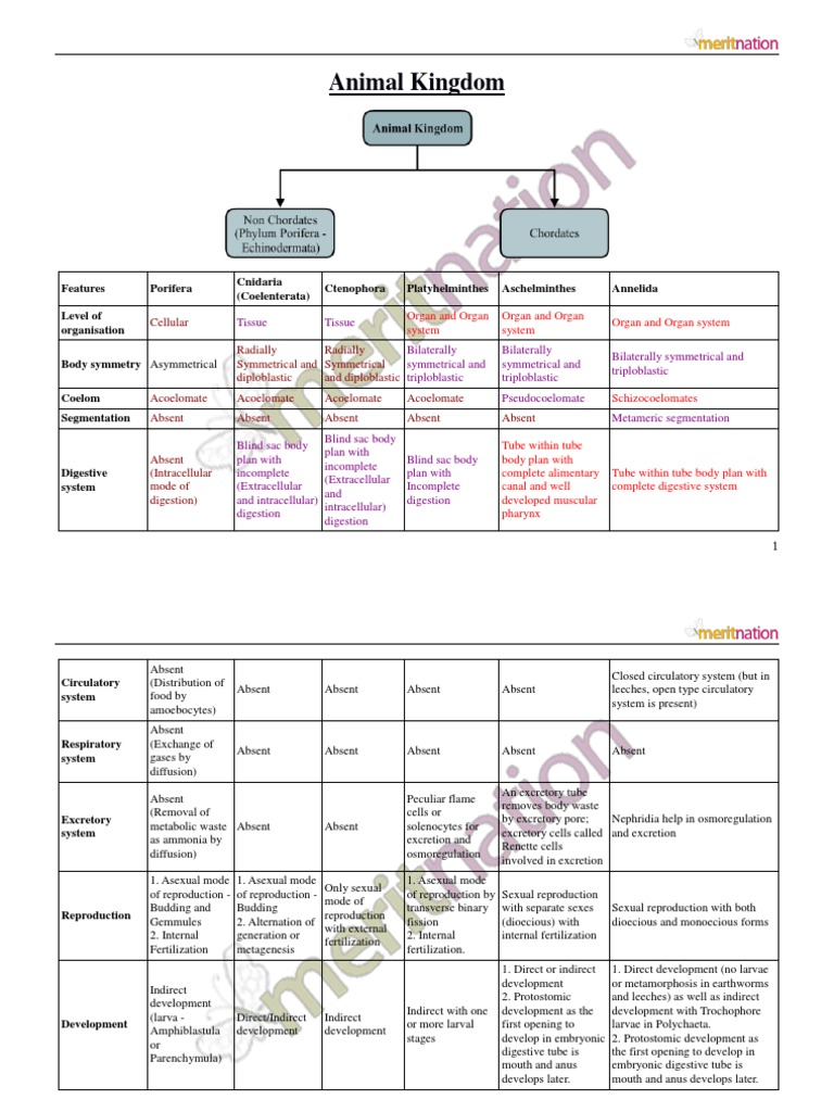 AIPMT Biology Animal Kingdom Notes Diagrams | PDF | Fish | Gill