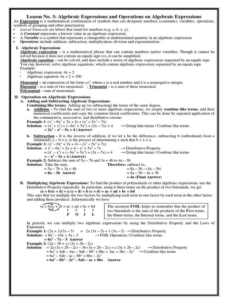 Algebraic Expressions and Operation On Algebraic Expressions | PDF
