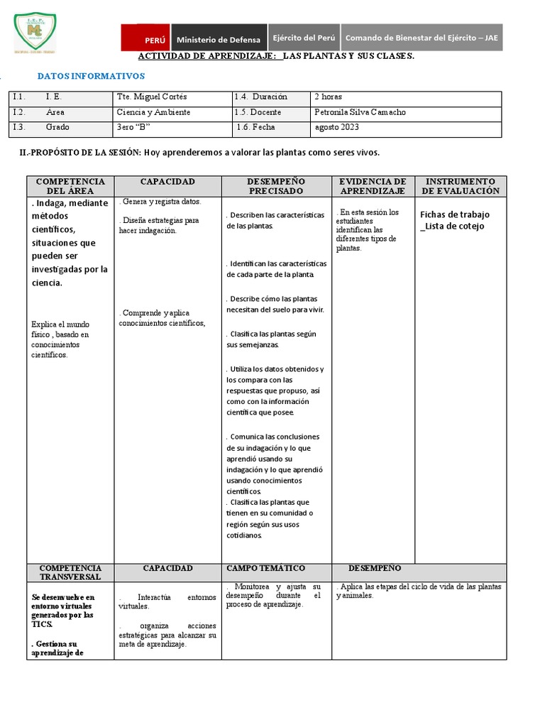 Sesion de Aprendizaje Clasificación de Las Plantas | PDF