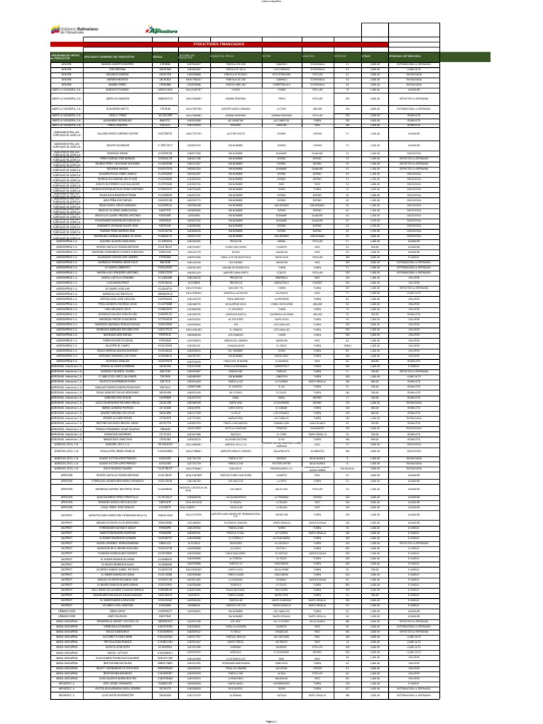 Control de Inventario de Gasoil Venta Extraordinaria DEFINITIVO | PDF