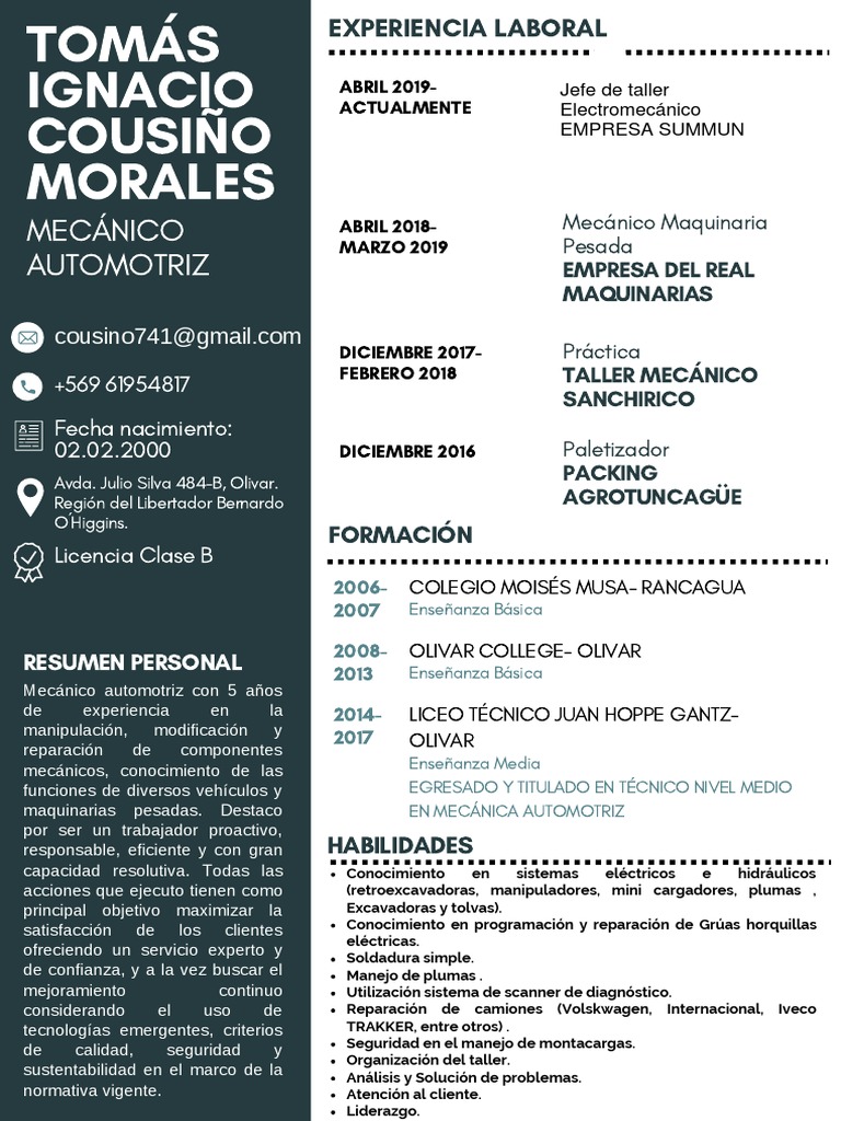 CV Tomas Cousiño Morales | PDF
