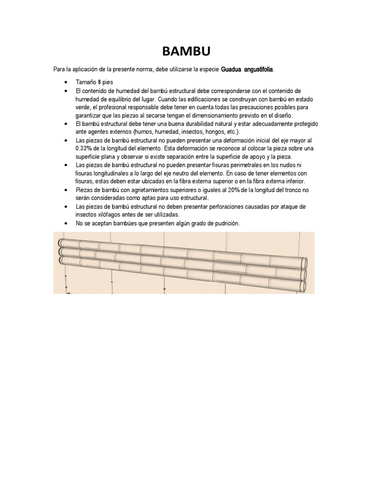Normas para Uso Estructural del Bambú | PDF