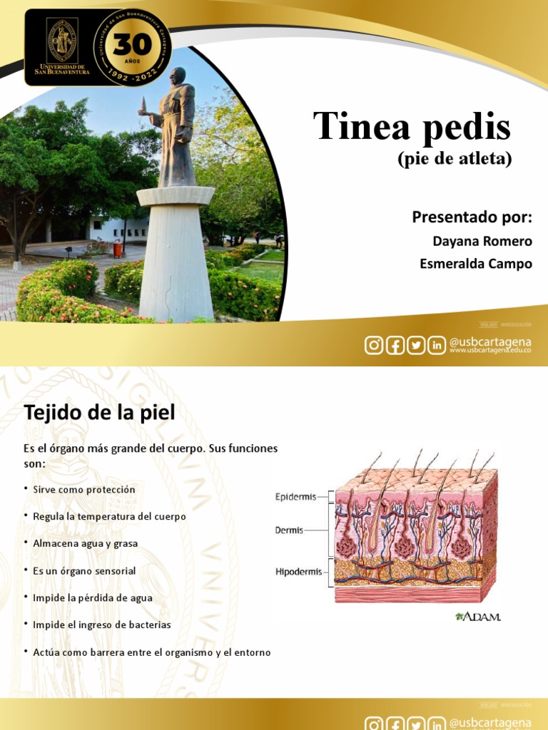 Tinea Pedis | PDF