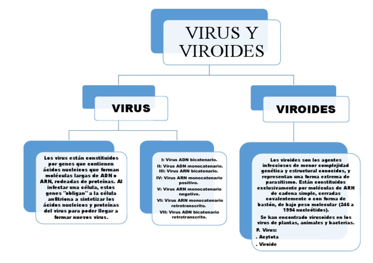 Virus y Viroides | PDF