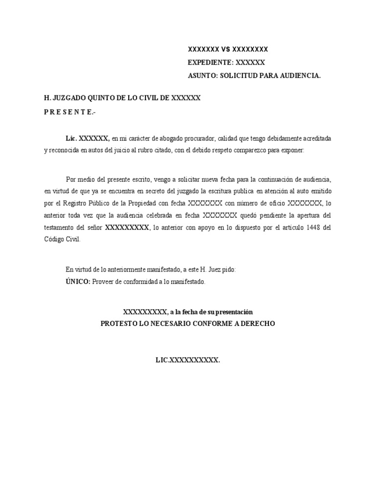 Solicitud Audiencia Plantilla | PDF