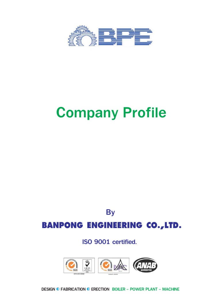 BPE Profile&Reference | PDF