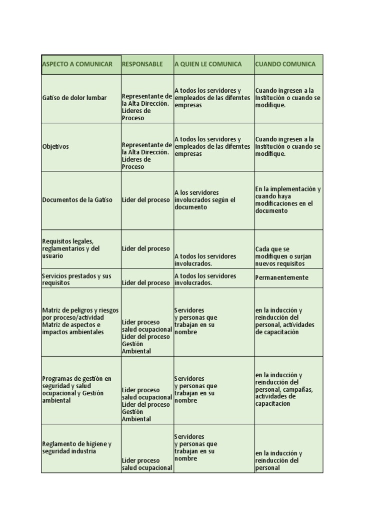 Matriz de Comunicacion | PDF
