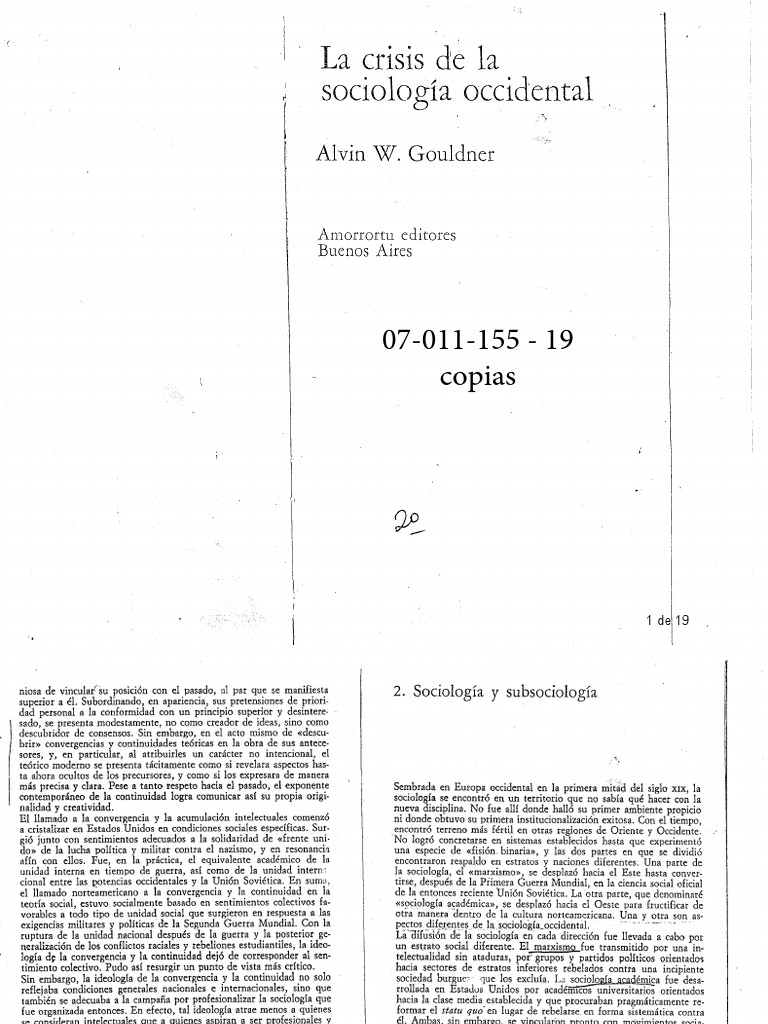 GOULDNER-Sociolog y Subsociologia | PDF