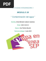 Actividad Integradora 1 MODULO 20 | PDF | Agua | Contaminación