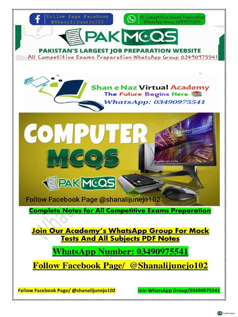 Computer MCQS 2024 | PDF